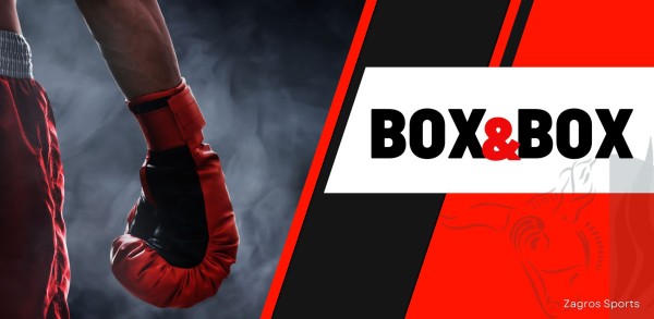 Técnica de boxeo, Zagros